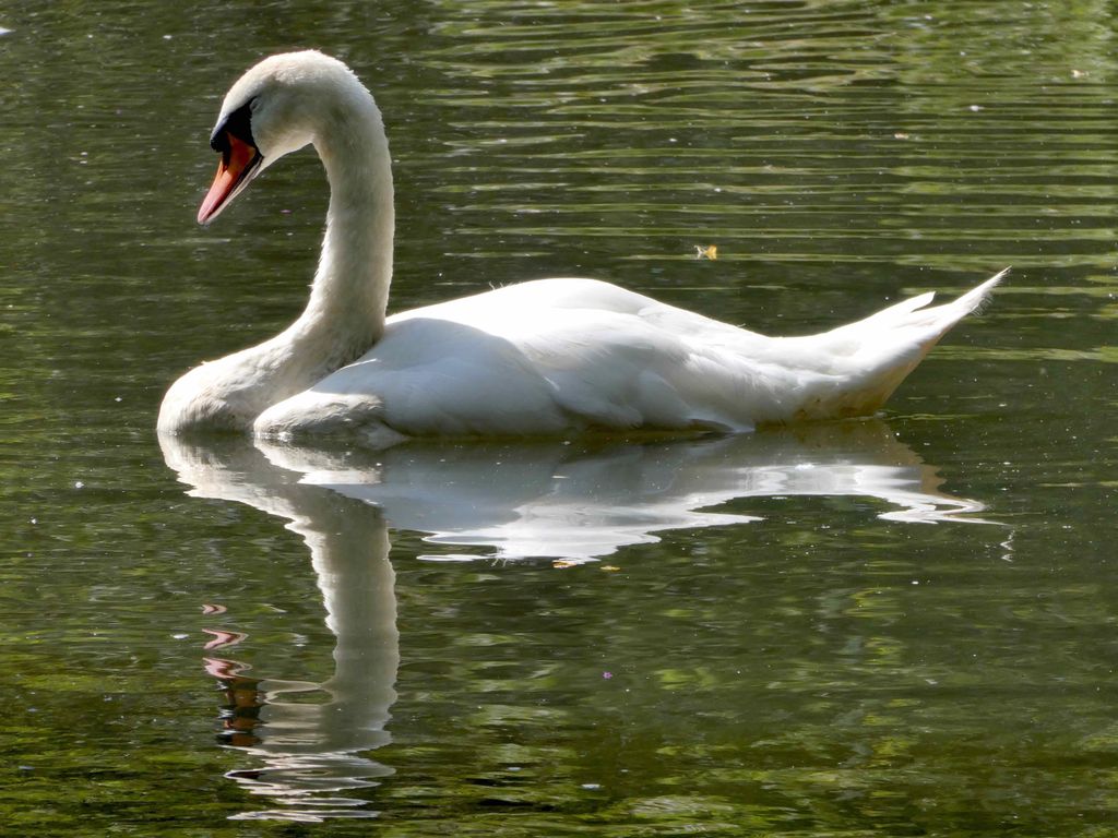 Panasonic Lumix ZS80 review | Digital Camera World