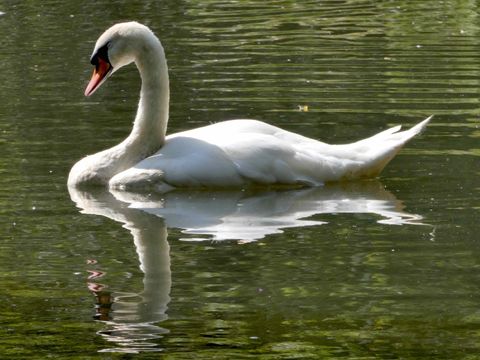 Panasonic Lumix ZS80 review | Digital Camera World