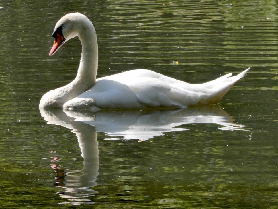 Panasonic Lumix ZS80 review | Digital Camera World