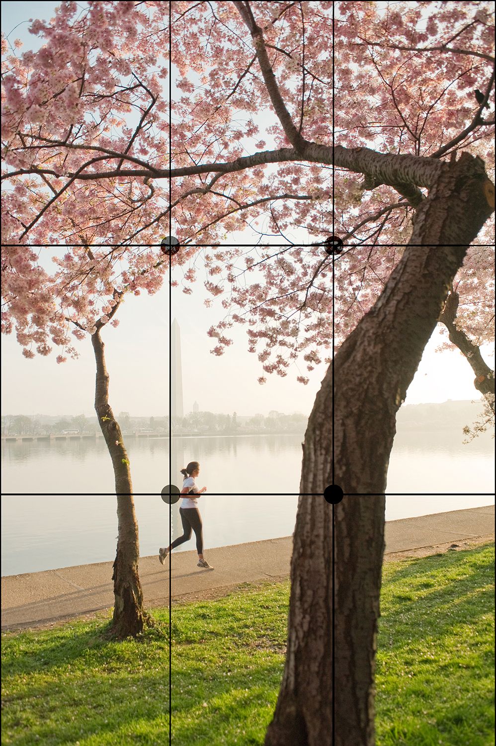 12 Tips for Taking Amazing Landscape Photos | Tom's Guide