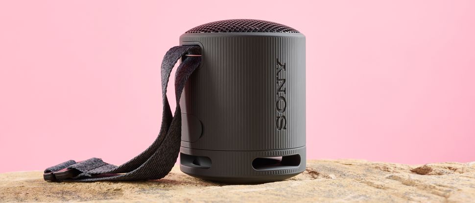 Sony SRS-XB100 review: a cheap Bluetooth speaker with good sound but ...