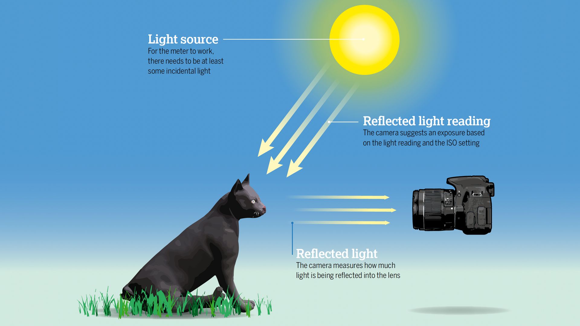 Photography cheat sheet: What is Metering? | Digital Camera World