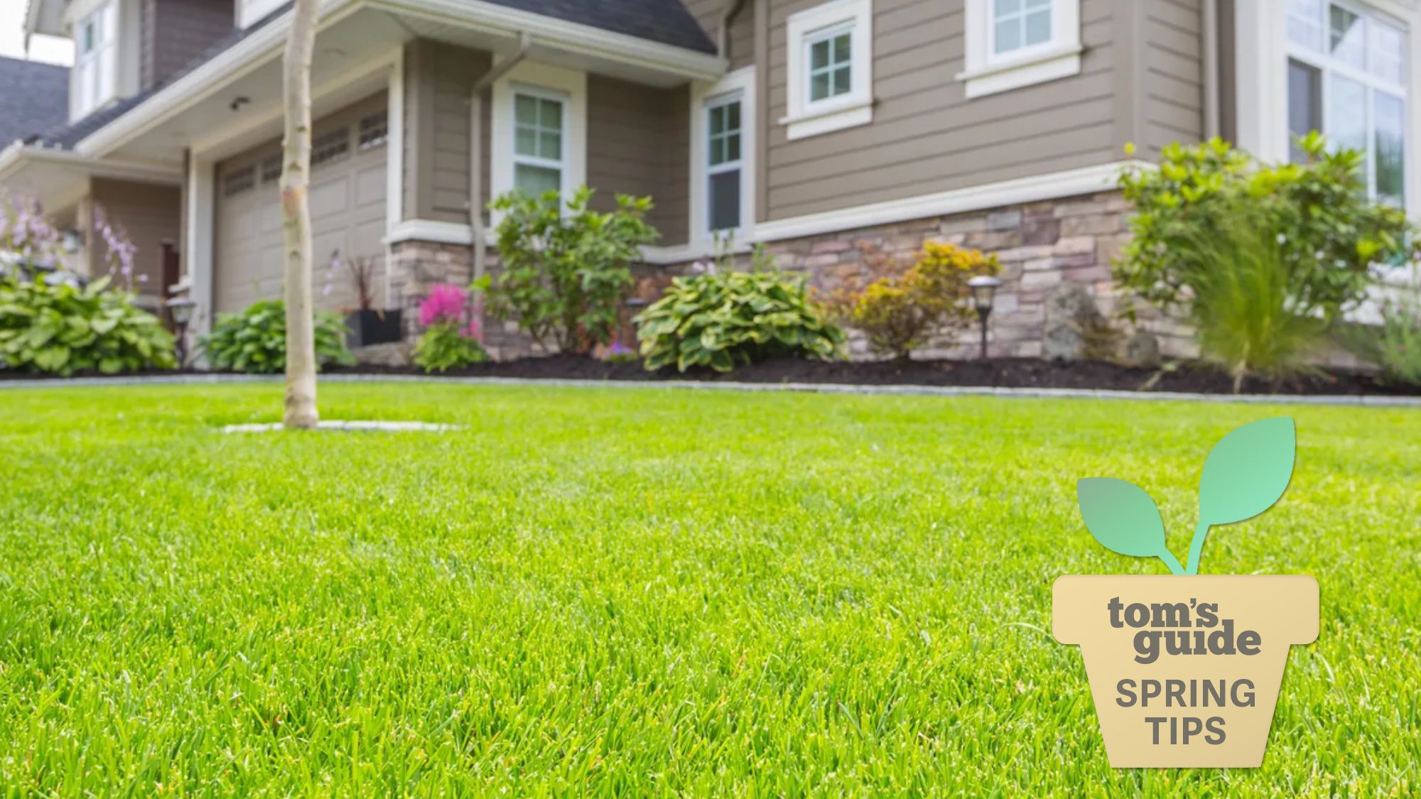 7 tips for planting grass seed to get a greener lawn | Tom's Guide