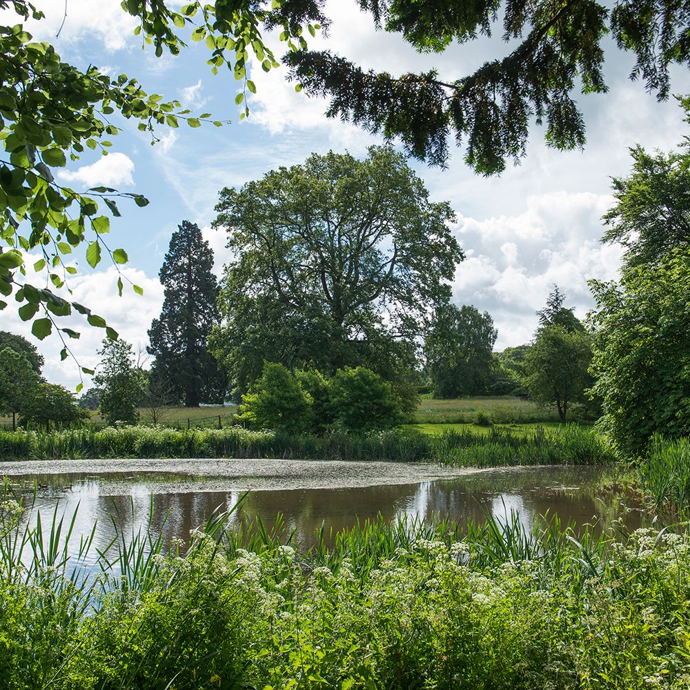Harptree Court is up for sale – own the Great British Bake Off house ...
