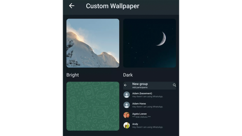 How to use WhatsApp in 2025 on iOS, macOS, your web browser, Windows ...