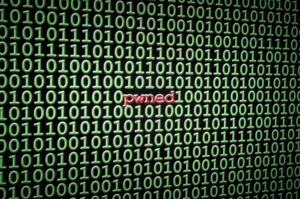 Collection #1 Breach Posts 773 Million Hacked Accounts for Sale | Tom's ...