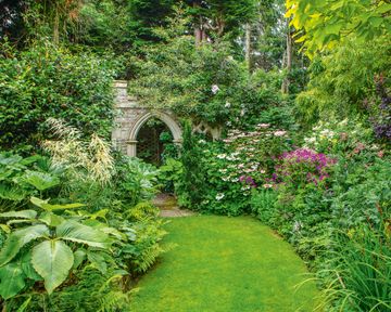 6 Ways The Goth Garden Trend Is Sophisticated & Sustainable | Gardening ...
