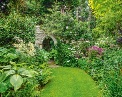 6 Ways The Goth Garden Trend Is Sophisticated & Sustainable | Gardening ...