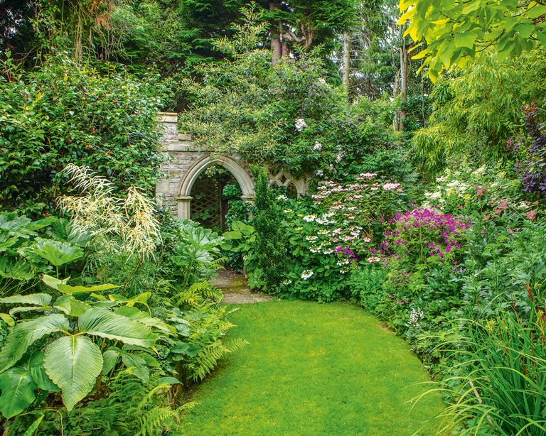 6 Ways The Goth Garden Trend Is Sophisticated & Sustainable | Gardening ...