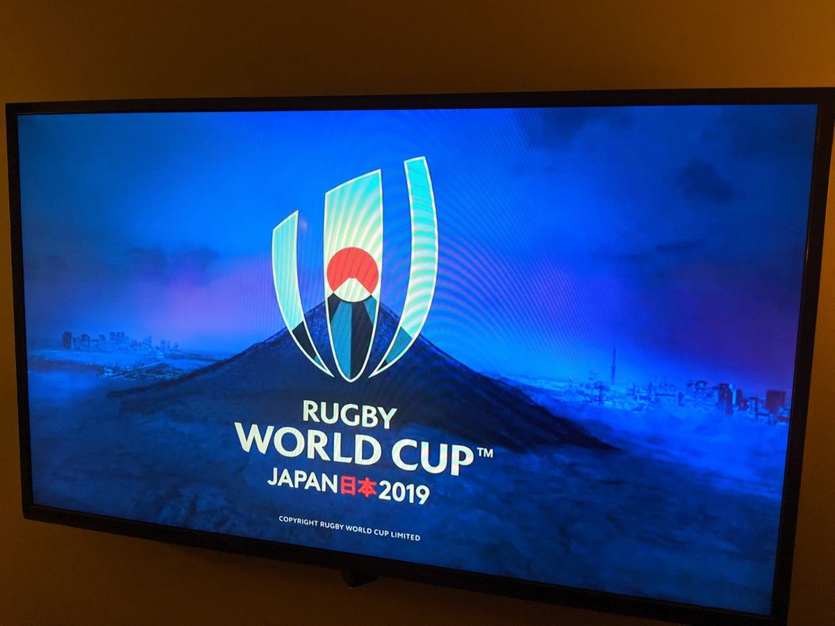 How to watch the 2019 Rugby World Cup final online | What to Watch