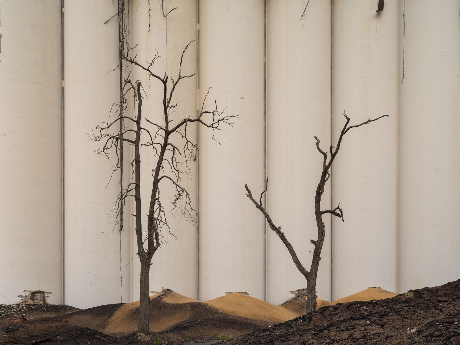 Dia Mrad photographs after the 2020 Beirut explosion | Wallpaper*