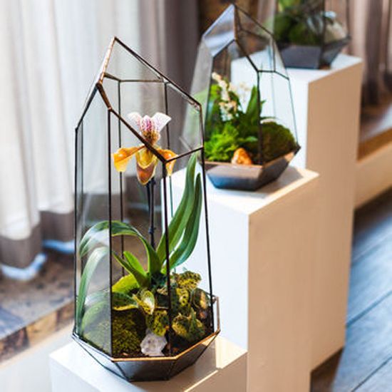 Top 10 Terrariums | Ideal Home
