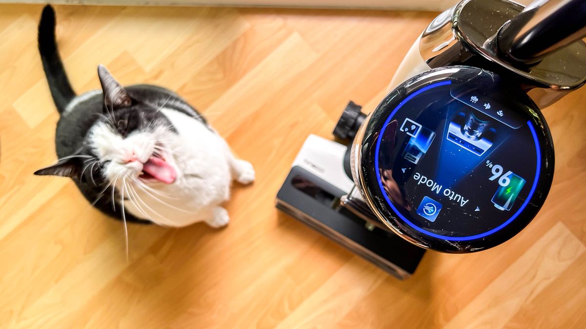 The best wet-dry vacuum cleaner 2025: recommended by expert reviewers ...