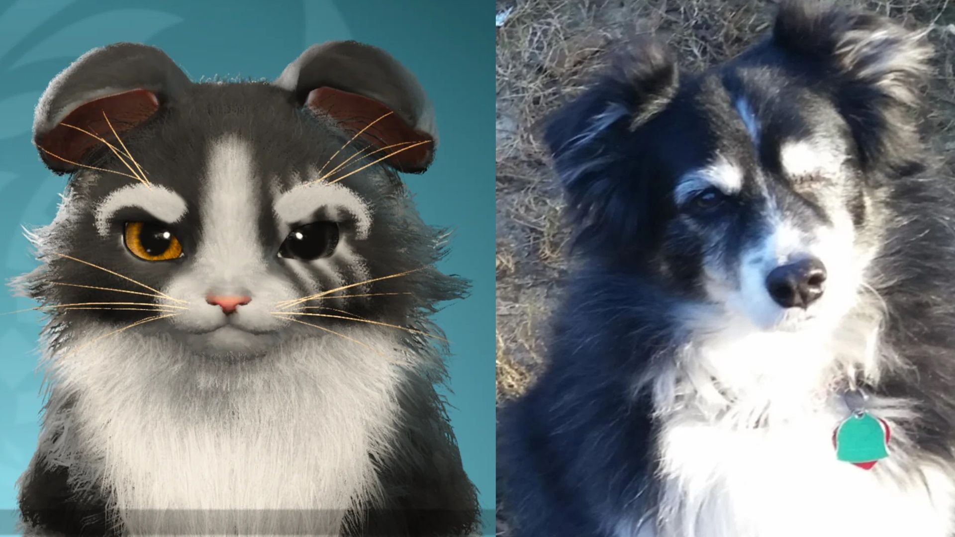 Monster Hunter Wilds players use the Palico character creator to ...