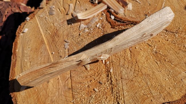 Whittling 101: whittling ideas, tips, and tricks | Advnture