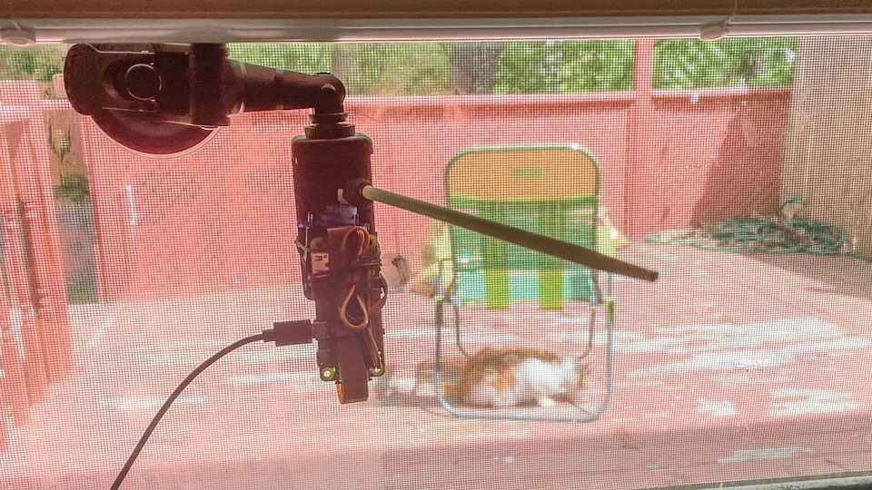 Raspberry Pi CatBot monitors for stray cats and texts you a photo | Tom ...