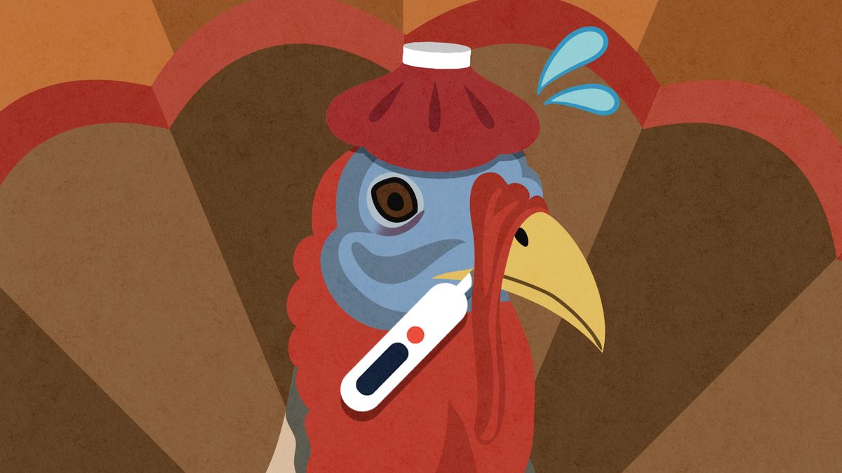 Do I need to worry about avian flu? | The Week