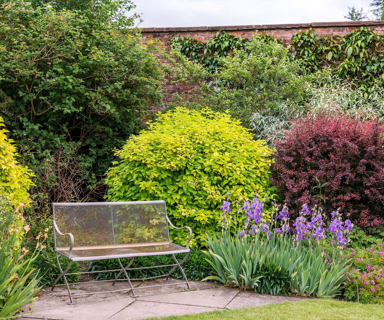 How to cut back shrubs: 8 expert pruning tips | Homes and Gardens