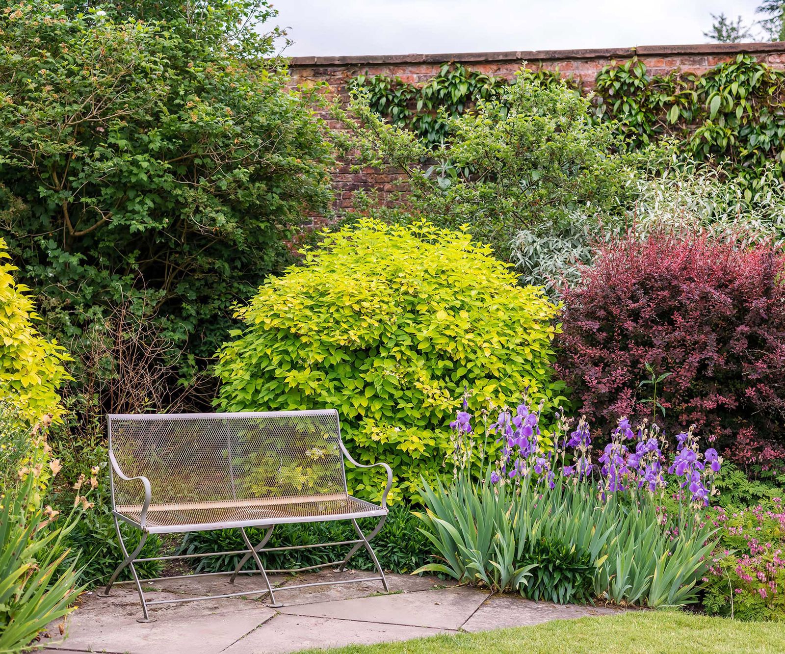 How to cut back shrubs: 8 expert pruning tips | Homes and Gardens