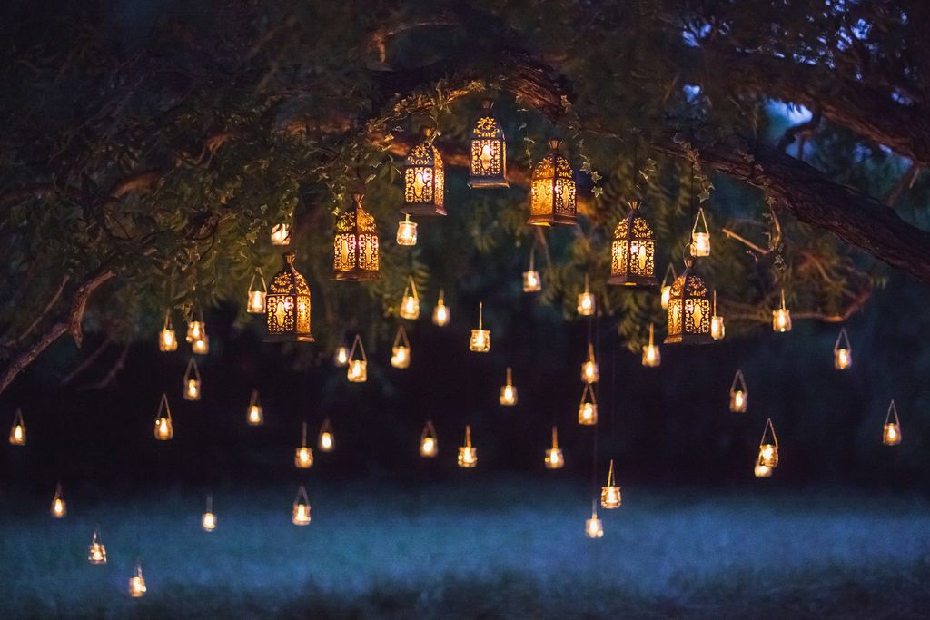 Outdoor tree lighting ideas: 11 ways to create a gorgeously glowing ...