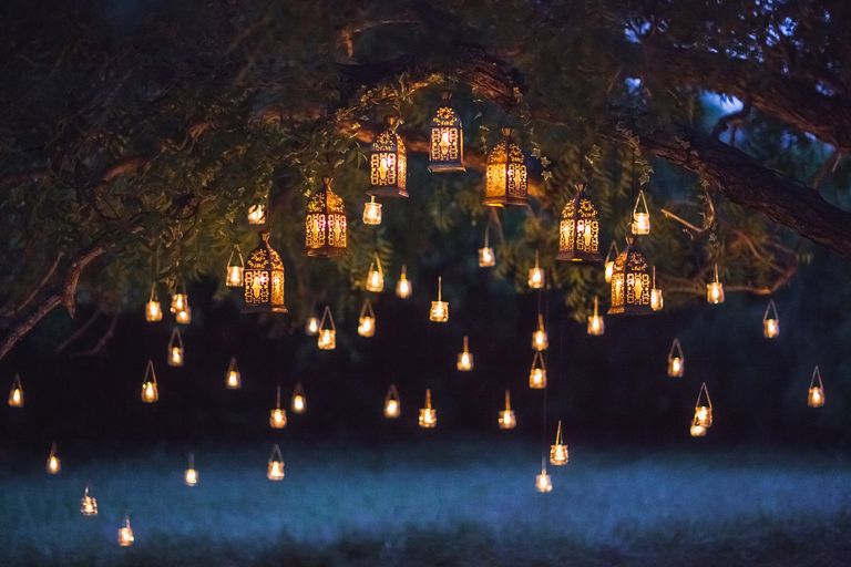 Outdoor tree lighting ideas: 11 ways to create a gorgeously glowing ...