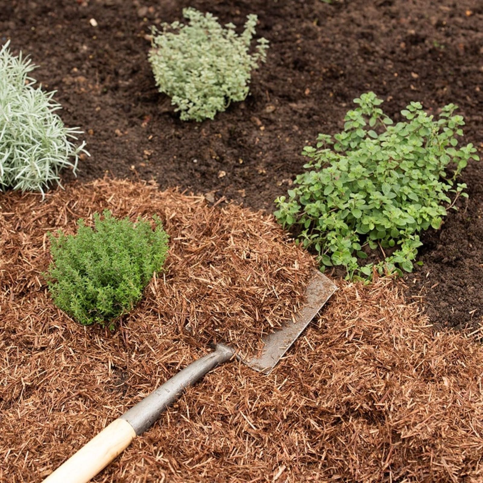 What is mulching and what are the benefits of doing it? | Ideal Home