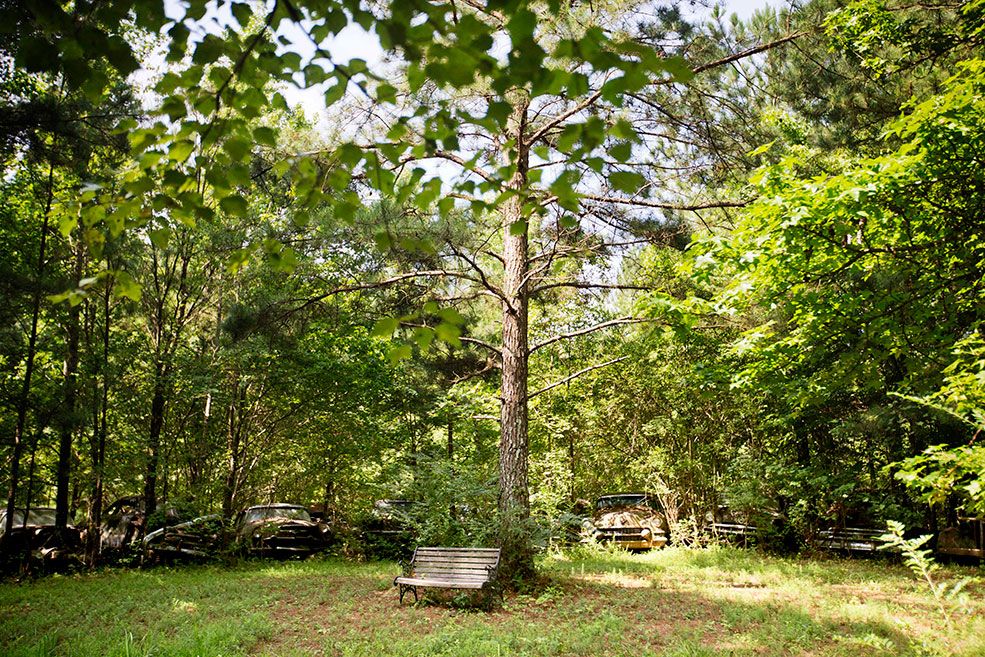 The biggest, rustiest car cemetery in the world | The Week