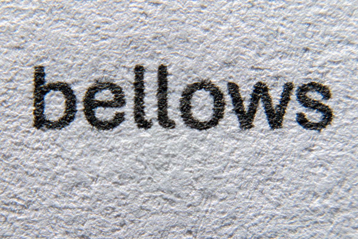 Novoflex Auto Bellows review: Powerful macro magnification with ...