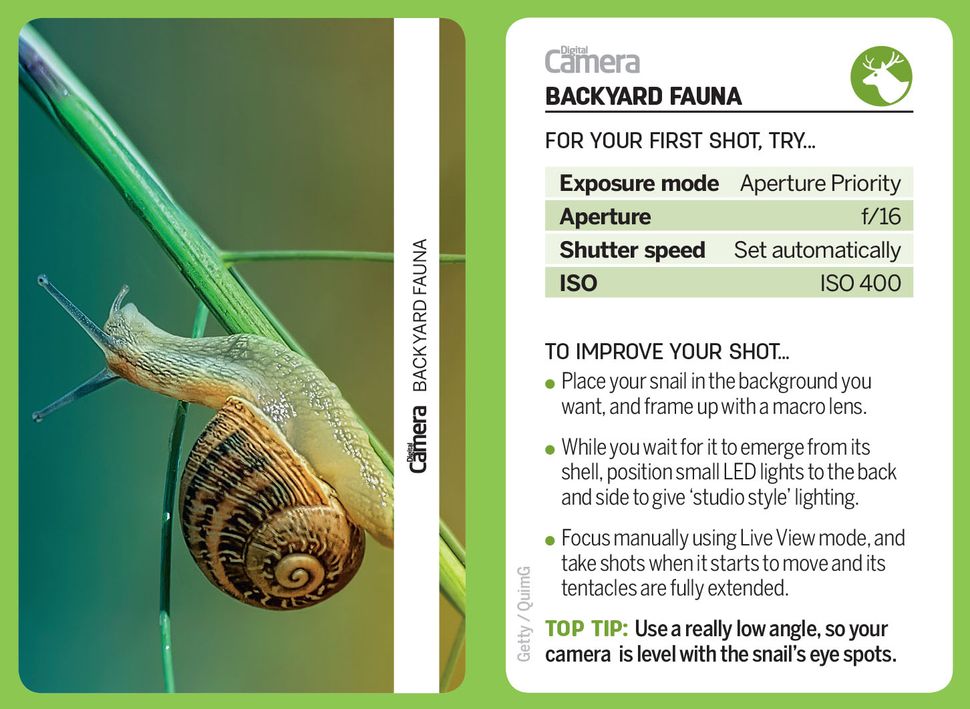 72 tips cards for photographers! Print, cut out and keep or save them ...