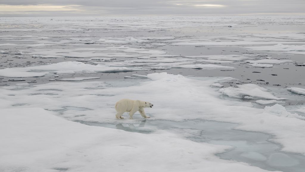 The plan to refreeze Arctic ice | The Week