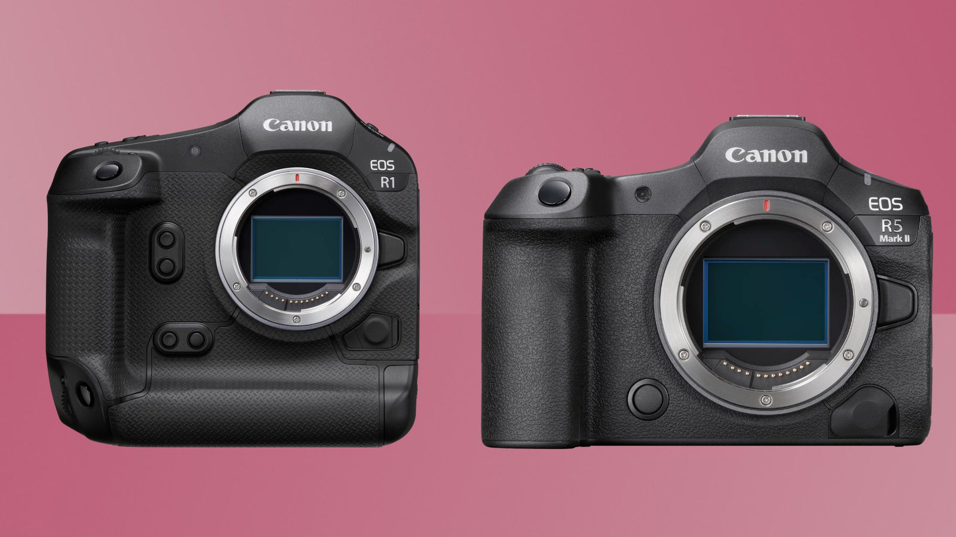 Canon expands its mirrorless camera range with flagship EOS R1 EOS R5 Mark II | T3