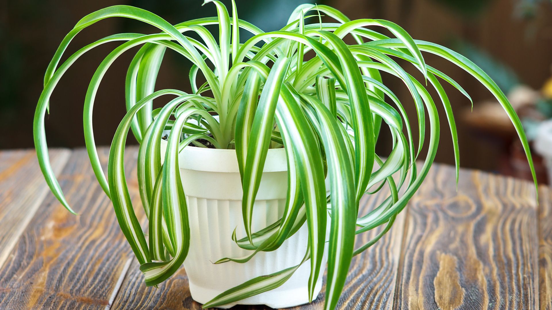 15 top BBC micro:bit projects | IT Pro