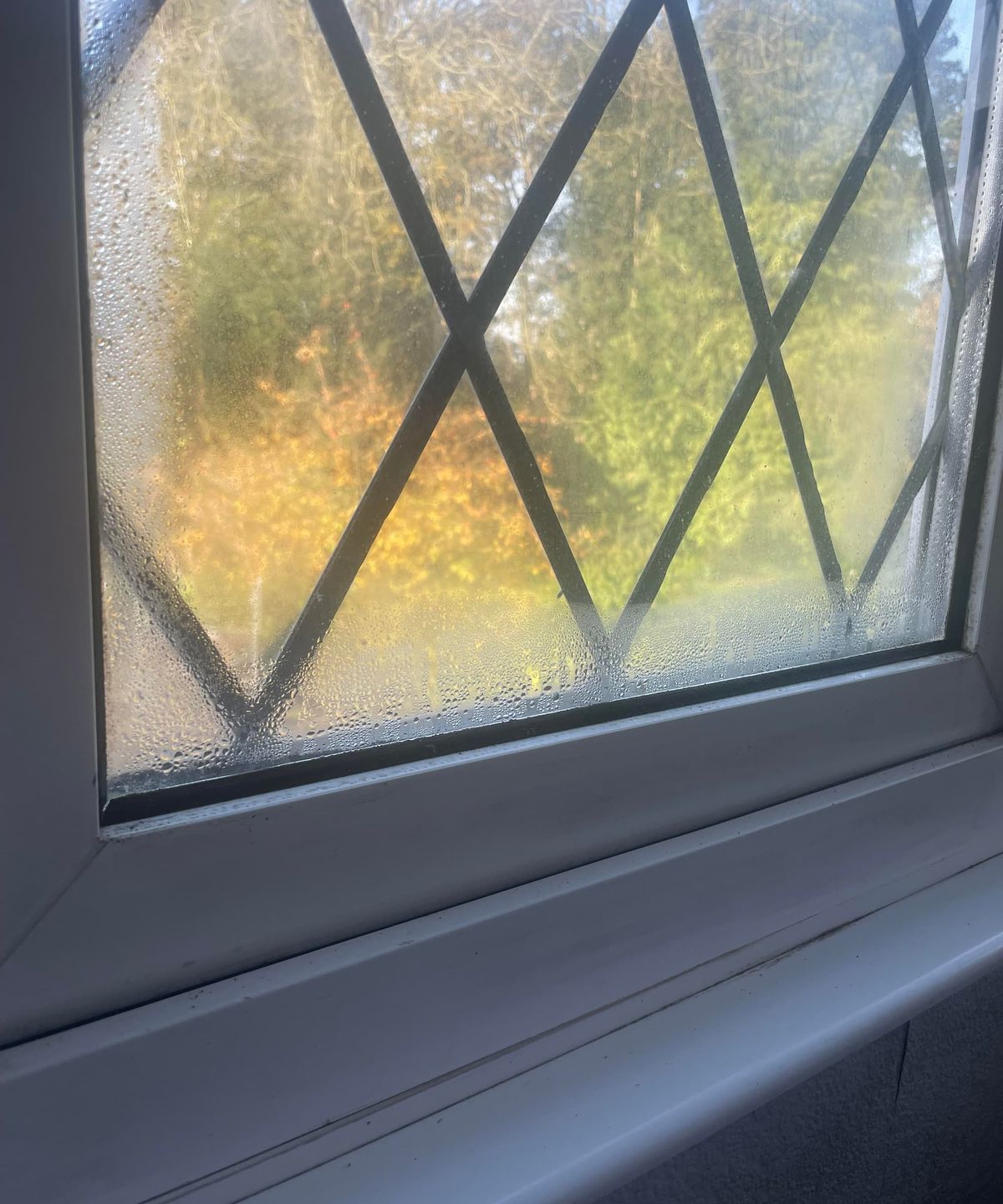 I tested out three window condensation 'hacks' to see if any of them ...