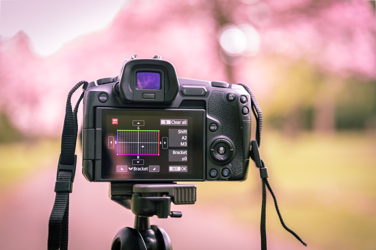 A vision in pink: shoot incredible images of blossom | Digital Camera World