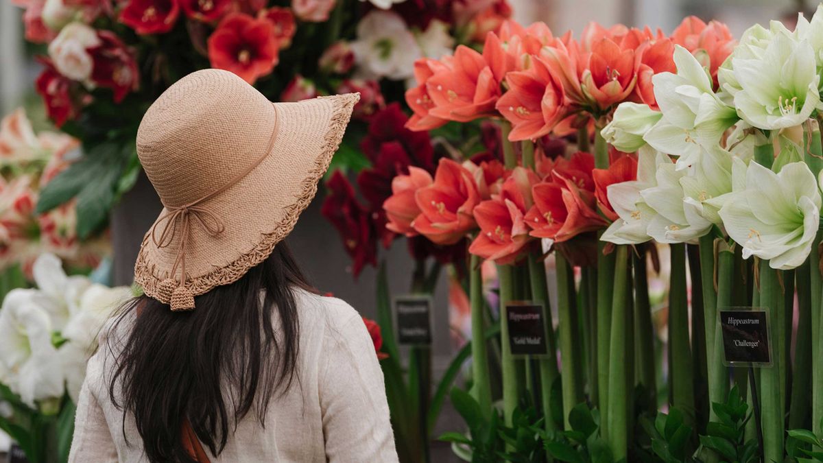 The RHS Chelsea Flower Show 2022: when it is and how to get tickets ...