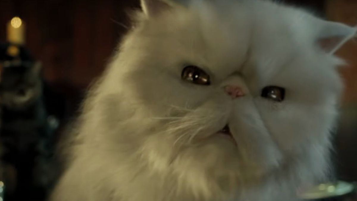 32 Of The Meanest Pets From Movies And TV Shows | Cinemablend