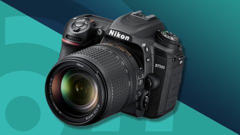 Best beginner DSLRs for 2025: top cameras for new photographers, tested ...