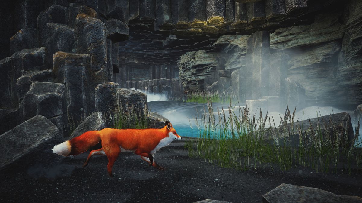 10 Games like Stray to adventure through when you're done with the ...