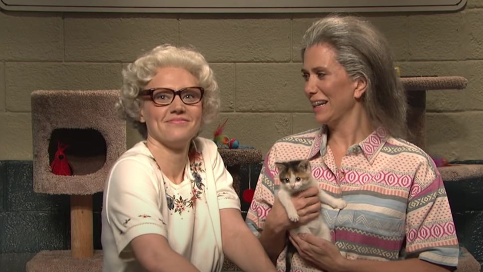 Kate McKinnon's Best SNL Sketches, Ranked | Cinemablend