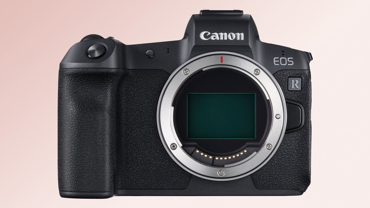 The 12 most exciting cameras of 2023, from the Canon EOS R50 to the ...