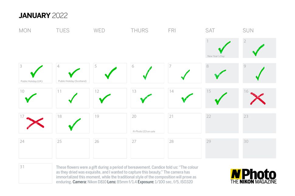 I’m planning my 365 photography project now! Here's why I'm not waiting ...