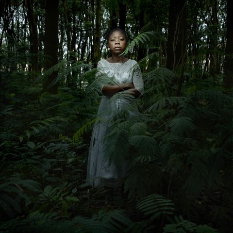 Photography at its best: Sony World Photography Awards finalists ...