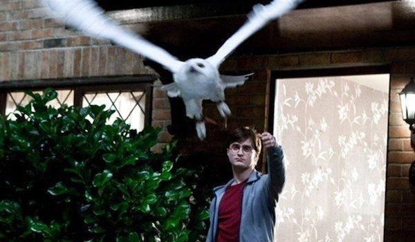 17 Loved Or Loathed Harry Potter Characters Who Died Before The End Of ...
