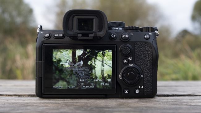 Best full-frame camera 2025: the top big sensor DSLRs and mirrorless ...