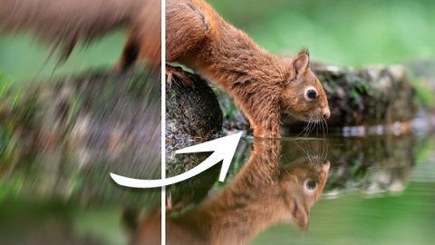 I still use the 'outdated' reciprocal rule to beat camera shake in my ...
