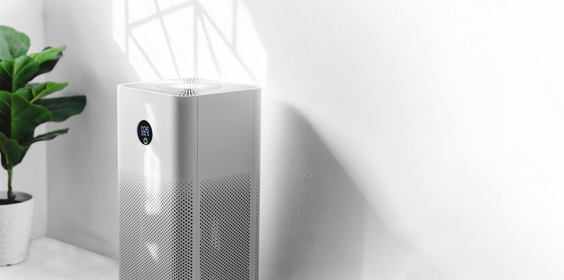 How to use your air purifier: tips and tricks for getting the best ...