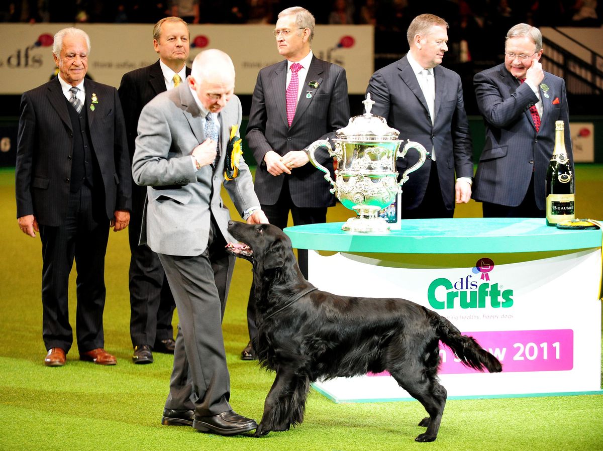Crufts facts: Everything to know about the greatest dog show | PetsRadar