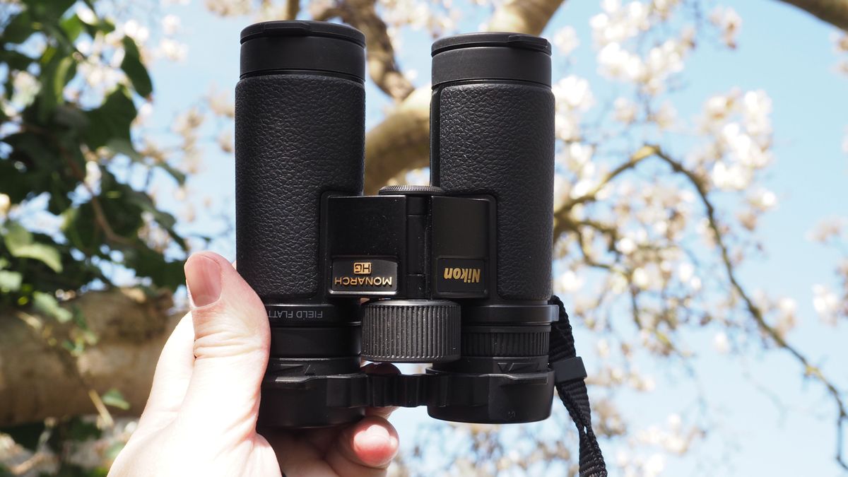 The best Nikon binoculars in 2025 | Digital Camera World