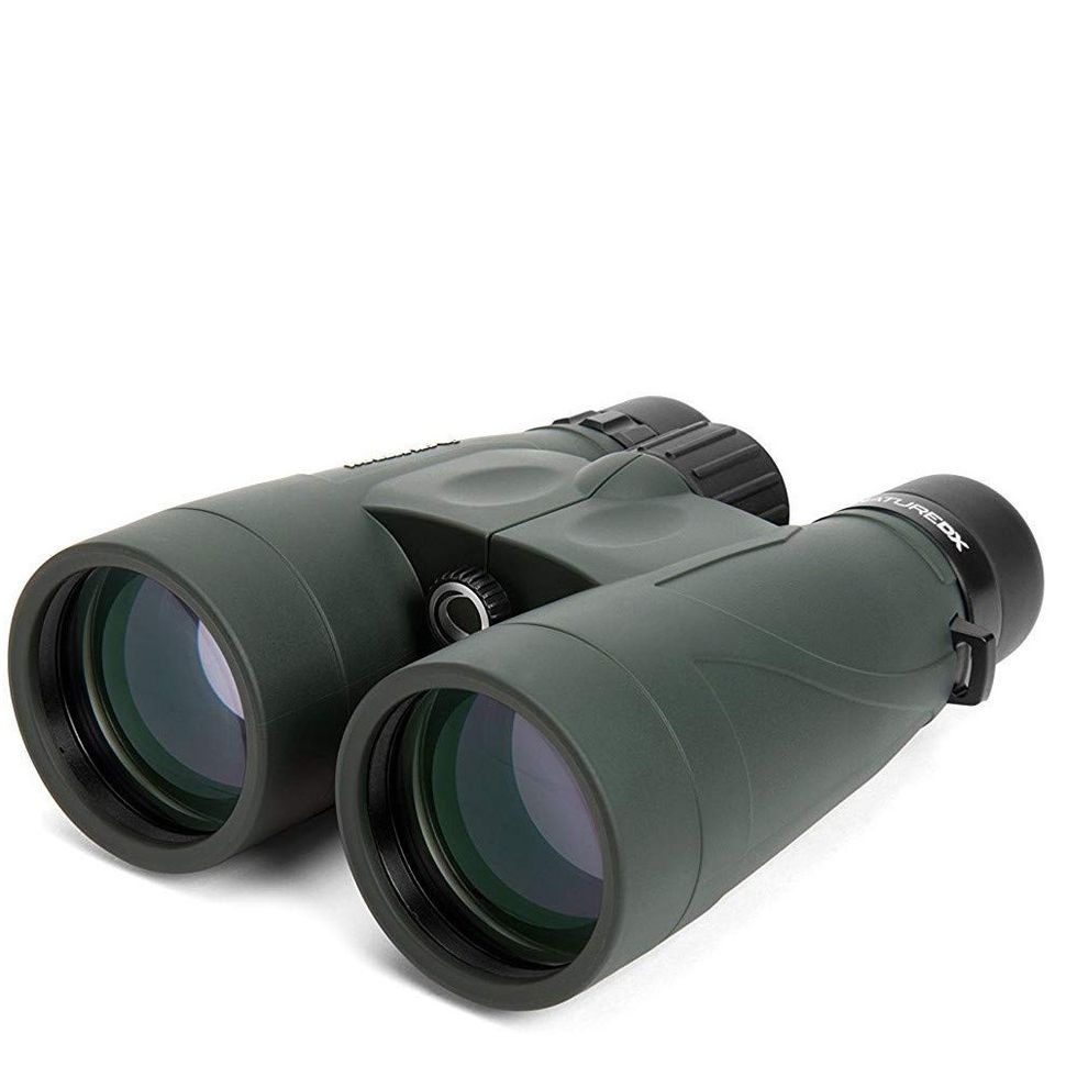 Best binoculars 2024: For stargazing, bird watching & more | Live Science