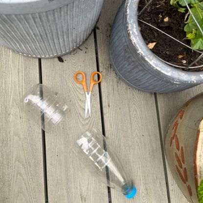 How to reuse plastic bottles in the garden | Ideal Home